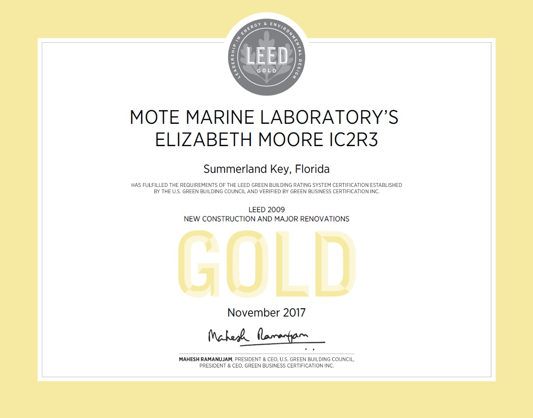 Mote Lab earns first LEED Gold Commercial certification in Monroe ...