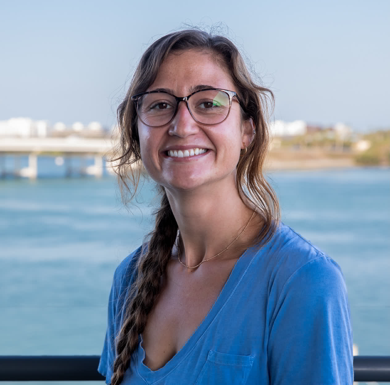 Sea Turtle Conservation & Research | Mote Marine Laboratory & Aquarium