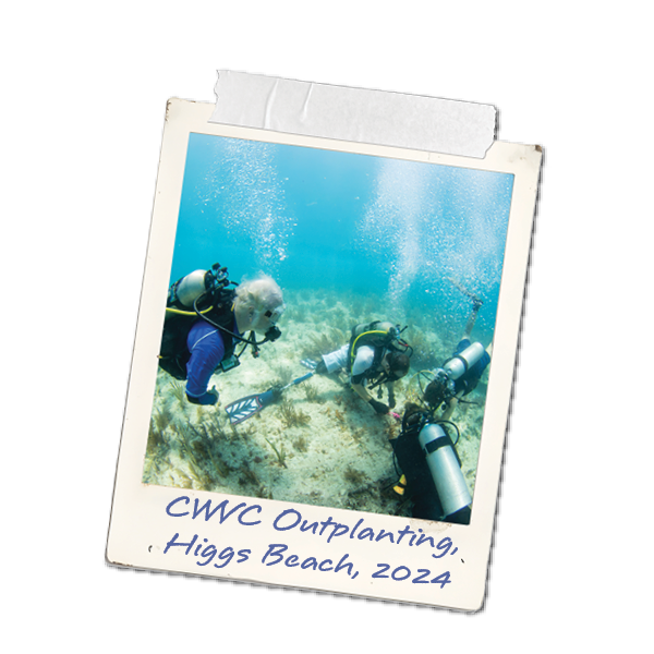 2025 Spring Appeal | Mote Marine Laboratory & Aquarium