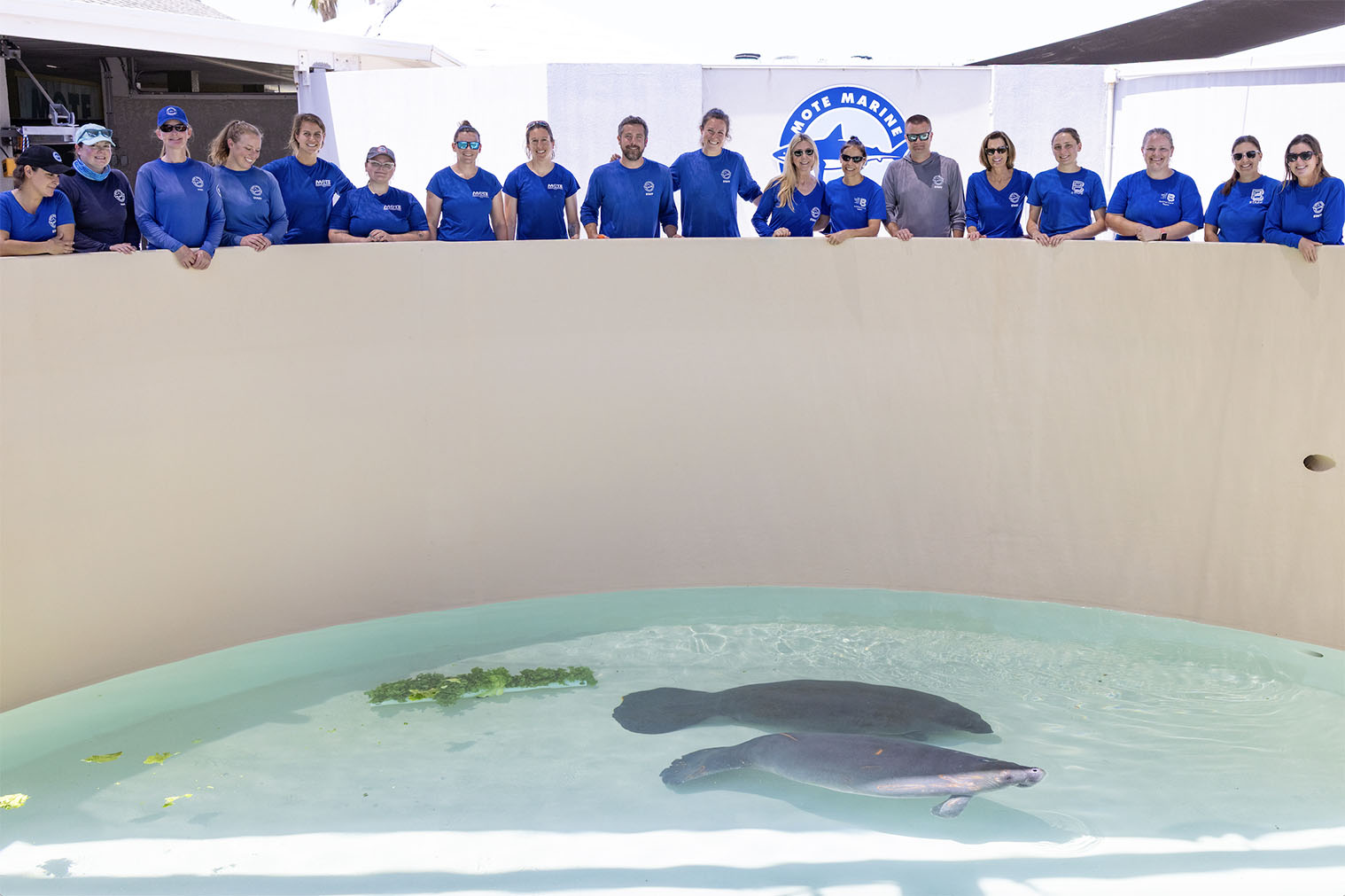 Mote Marine Laboratory Receives Federal Designation as a Secondary Care ...