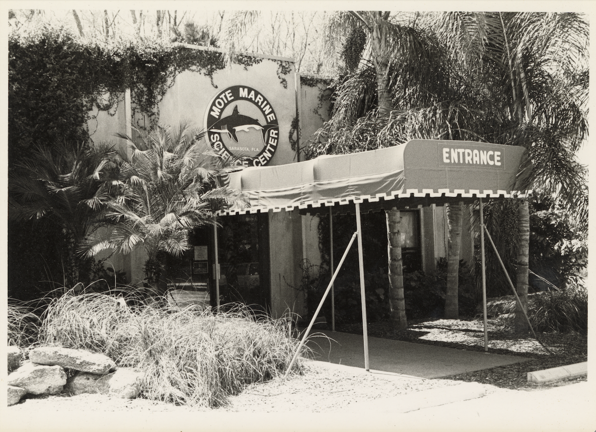 Mote Aquarium to Mote SEA: Beginning the transition from City Island to ...