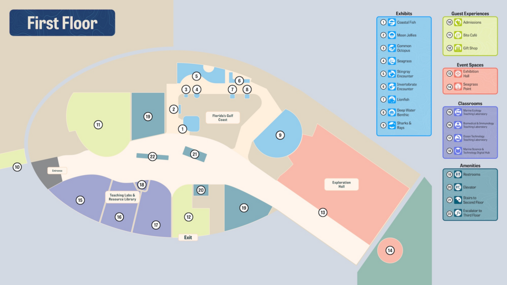 Mote SEA - Visitor Information | Mote Marine Laboratory & Aquarium