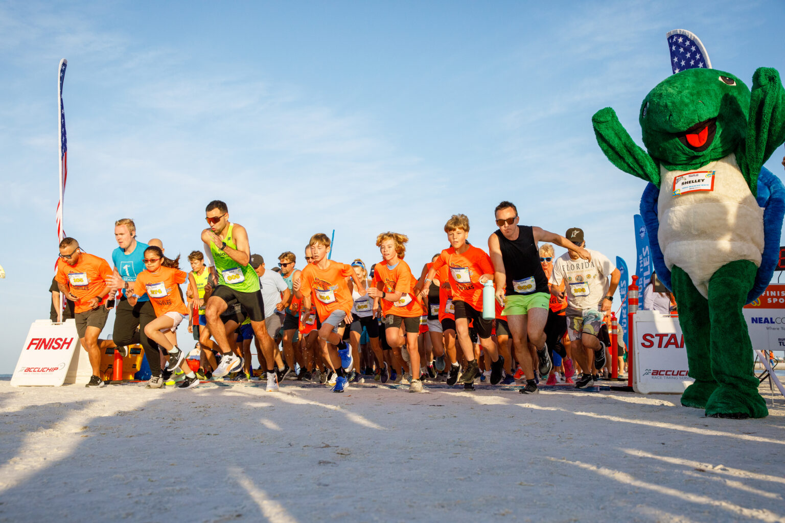 Run for the Turtles | Mote Marine Laboratory & Aquarium